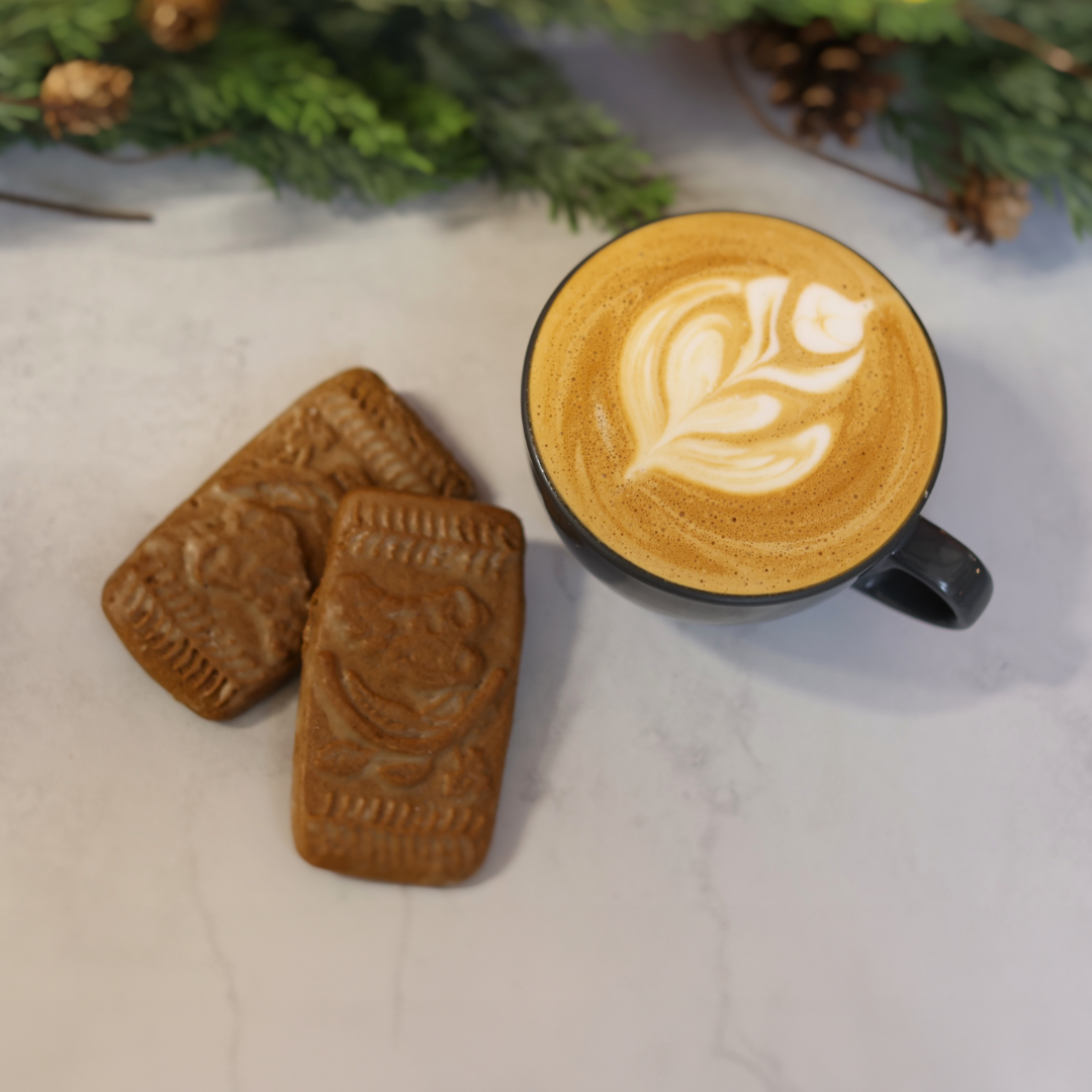 Bergen - Gingerbread Latte! | Voyager Craft Coffee